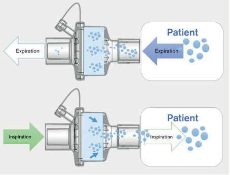 China KingPo Technology Development Limited company news