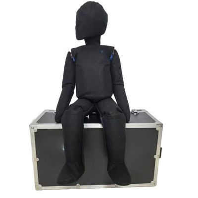 UL 3300 Standard 9.4 kg Child's Body Manikin with Specified Mass ...